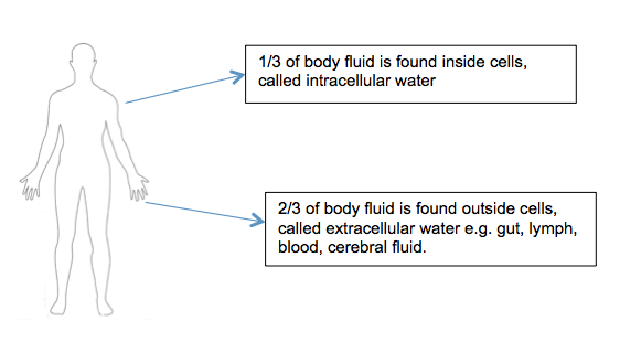 Assessing hydration status - Water Testing Professionals